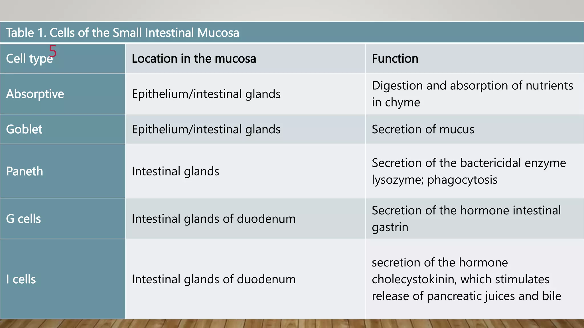 congenital anomalies of intestine ppt.pptx