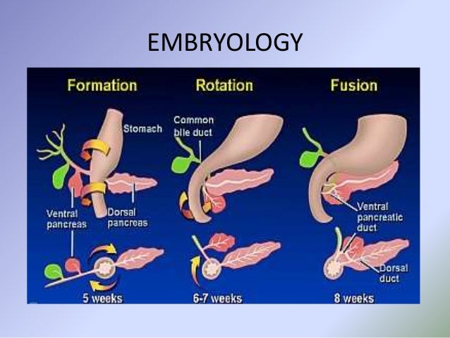 Congenital anomalies of pancreas and hepatobiliary system radiology