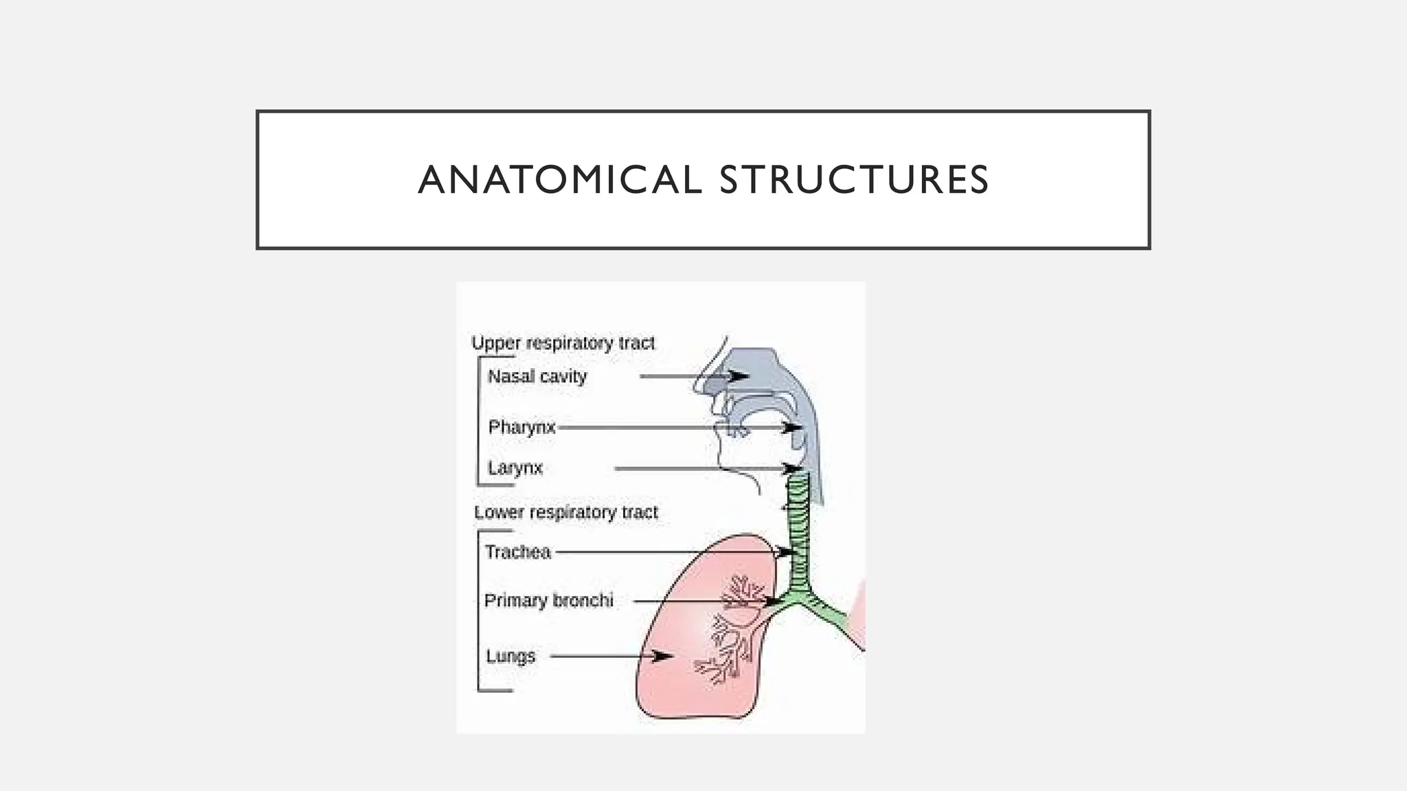 Congenital anomalies of Respiratory tract.pptx