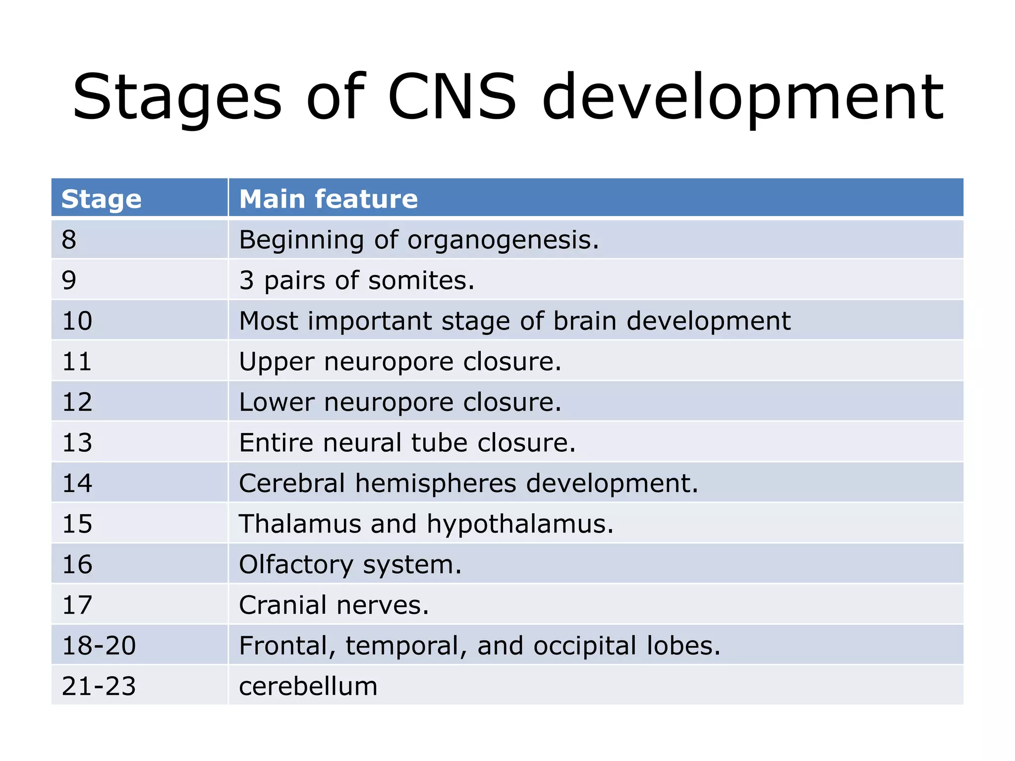 neurosurgery.Congenital anomalies of the cns,(dr.mazn bujan) | PPTX