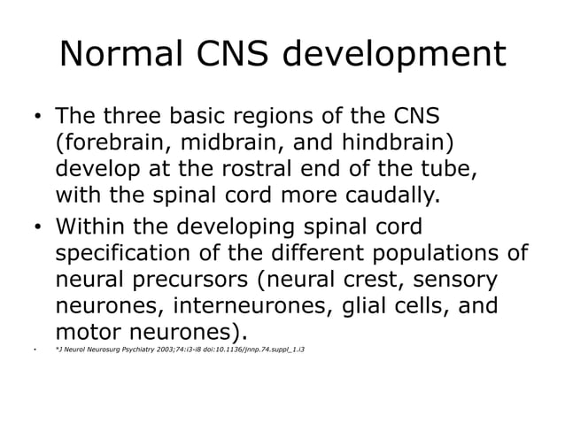 neurosurgery.Congenital anomalies of the cns,(dr.mazn bujan) | PPTX