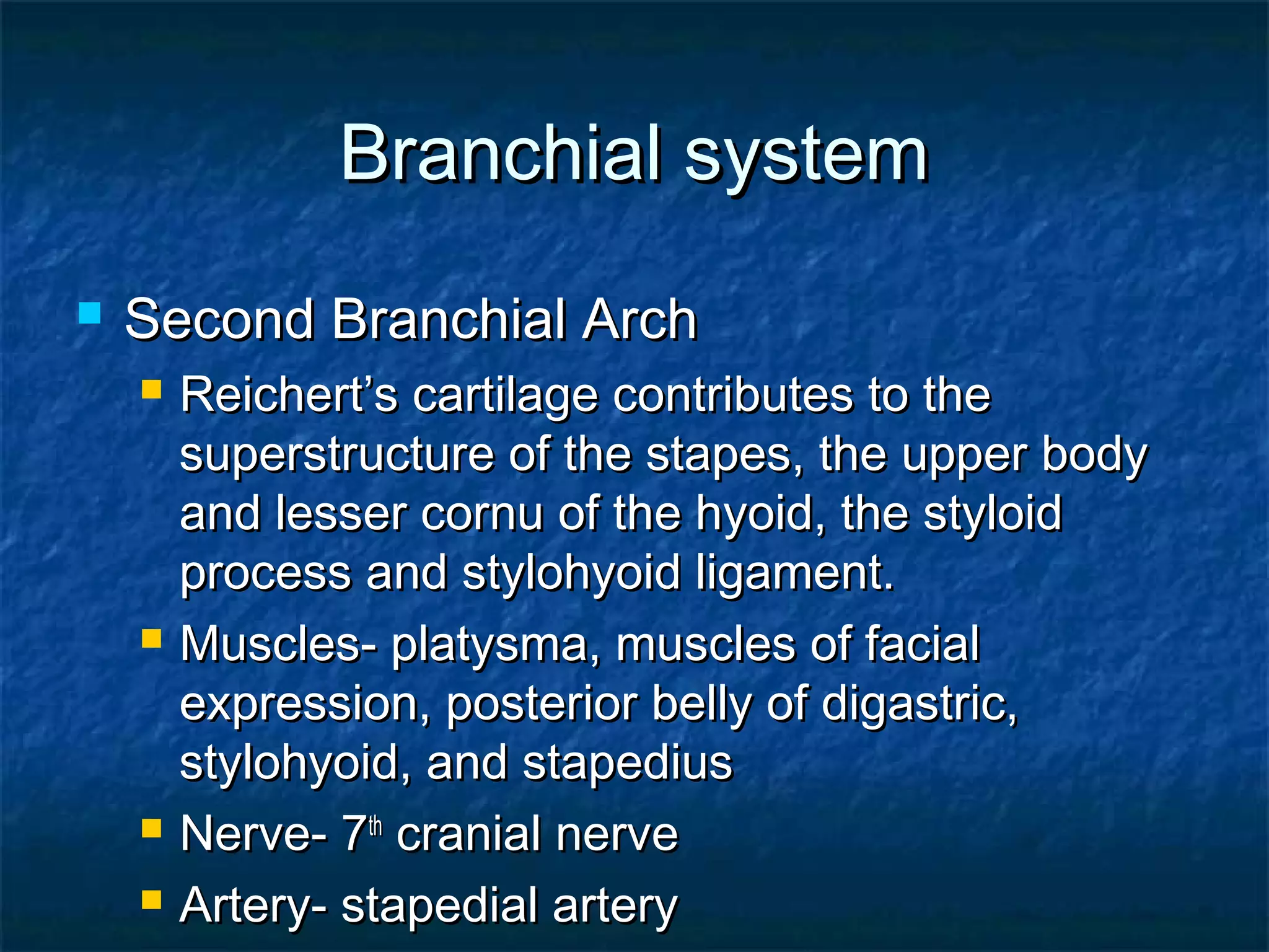 Congenital anomalies of the ear2 | PPT