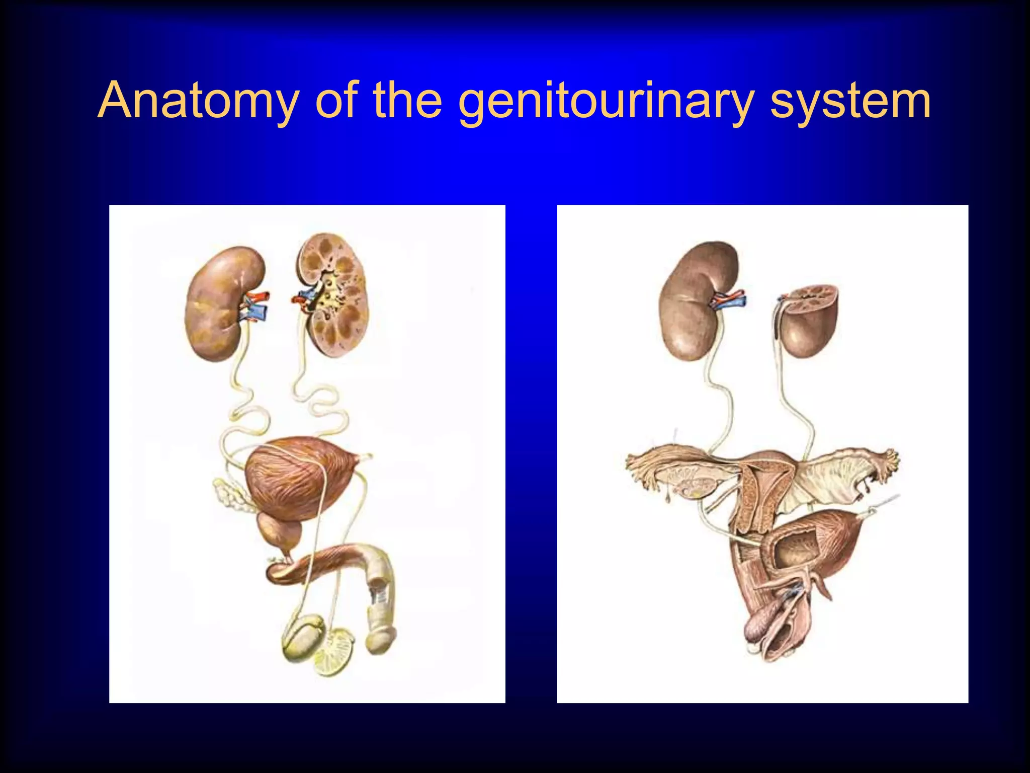 Congenital Anomalies of the Kidney and the Urinary Tract (CAKUT).ppt