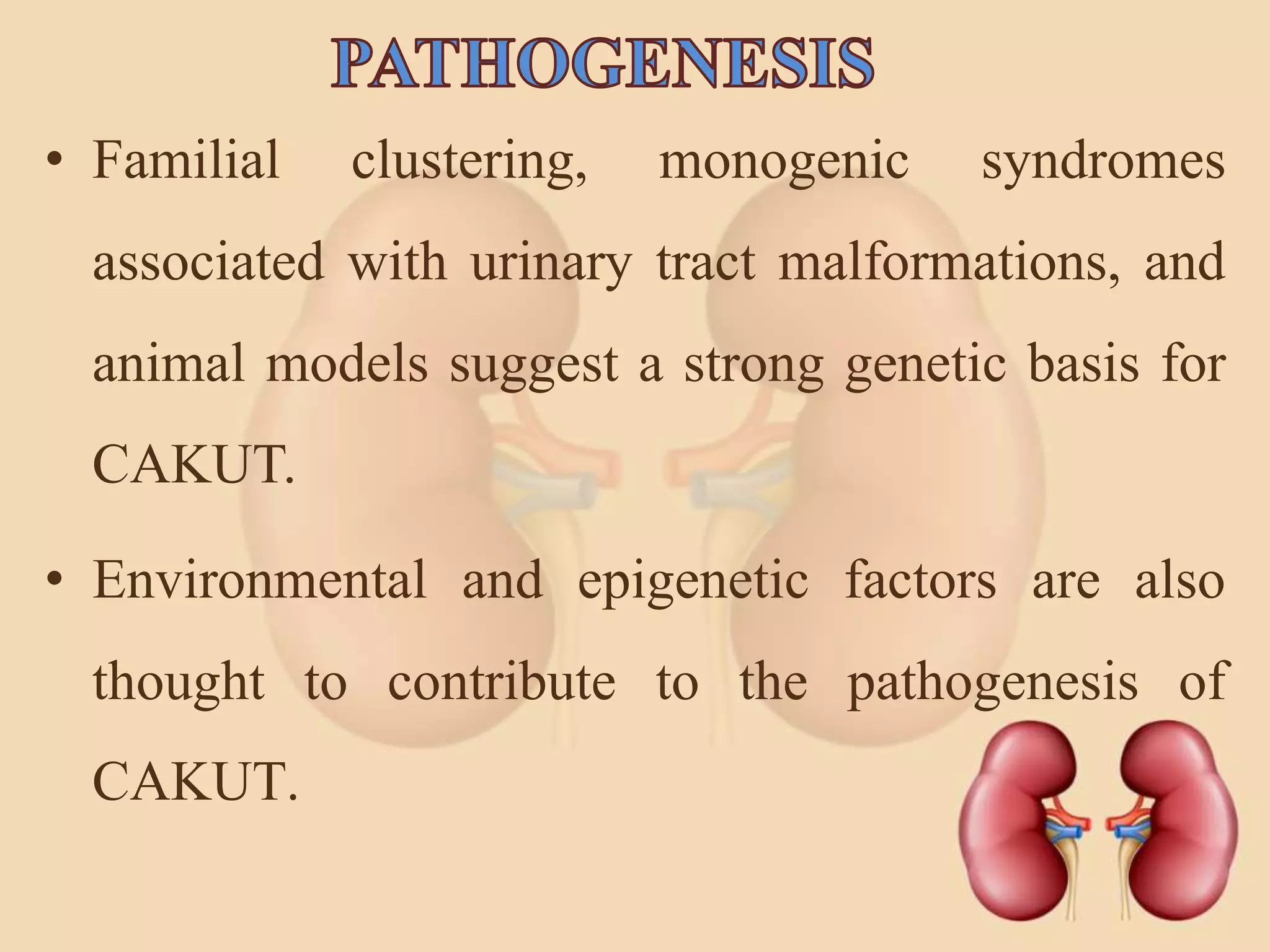 Congenital anomalies of the kidney and urinary tract | PPTX
