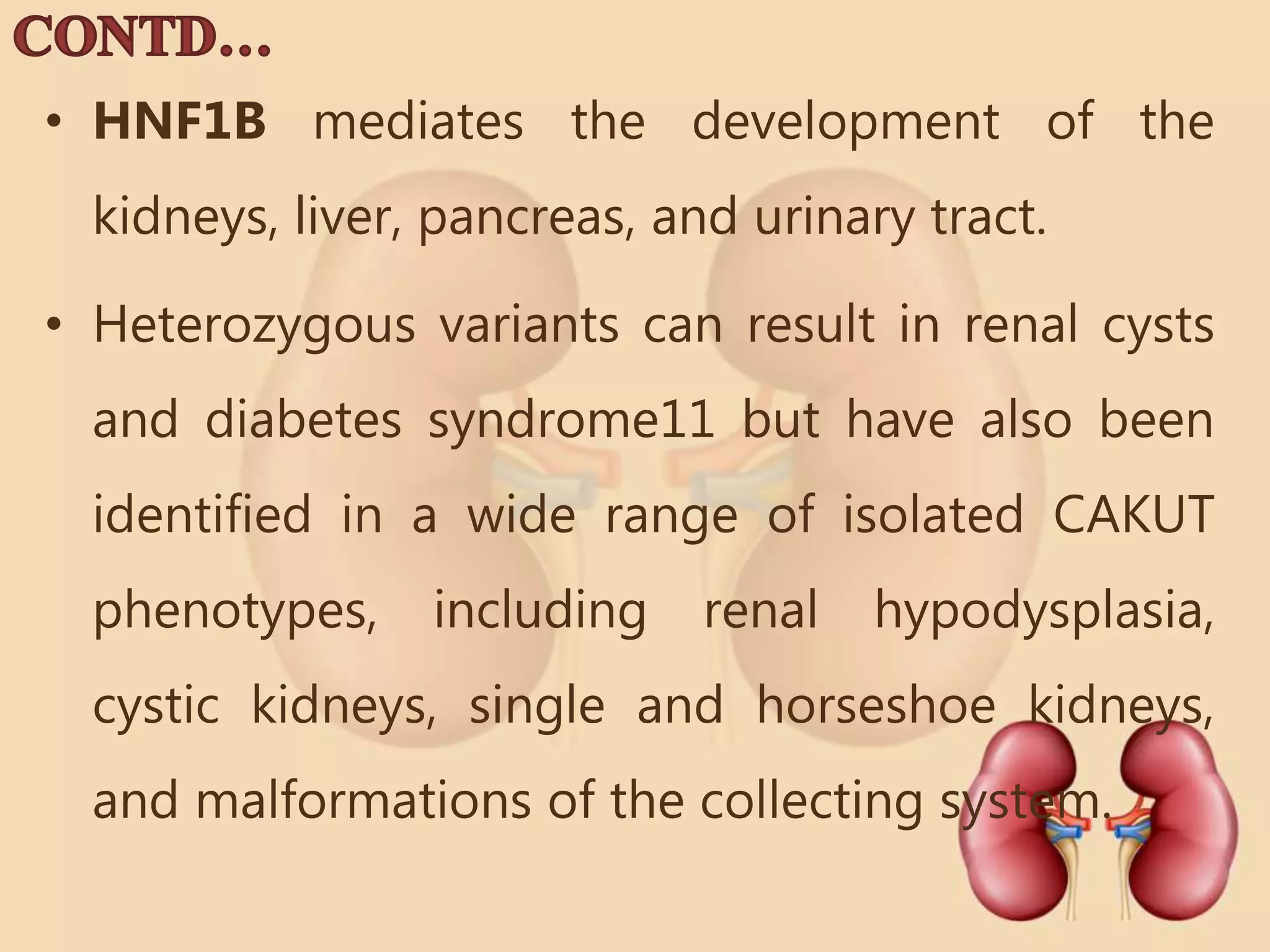 Congenital anomalies of the kidney and urinary tract | PPTX