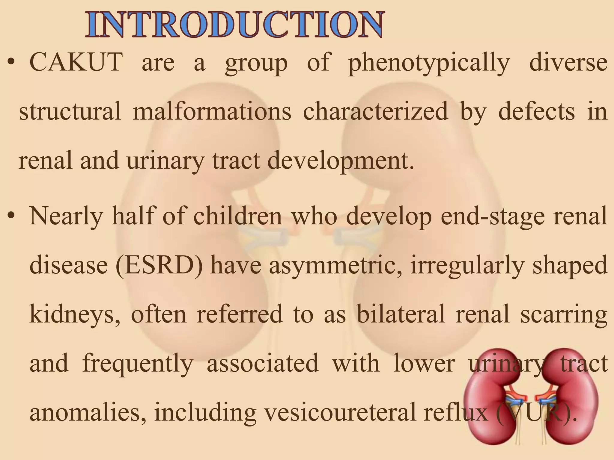 Congenital anomalies of the kidney and urinary tract | PPTX