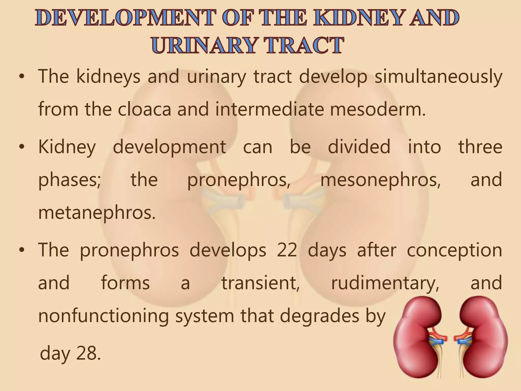 Congenital anomalies of the kidney and urinary tract | PPTX