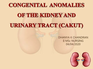 Congenital anomalies of the kidney and urinary tract | PPTX