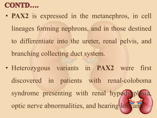 Congenital anomalies of the kidney and urinary tract | PPTX