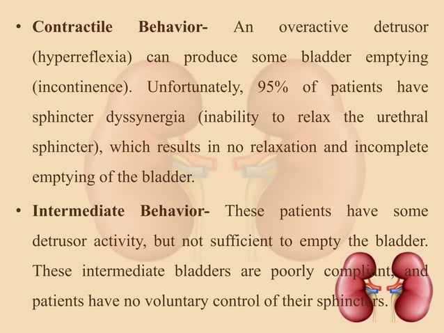 Congenital anomalies of the kidney and urinary tract | PPTX