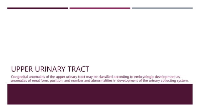 Congenital Anomalies of the Kidney & Urinary Tract | PPTX