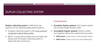 Congenital Anomalies of the Kidney & Urinary Tract | PPTX