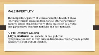 Congenital Anomalies Of UG System PATHOLOGY.pptx