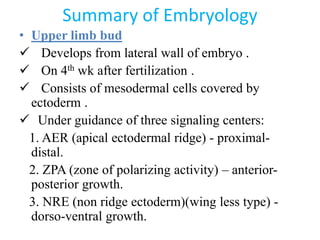 Congenital anomalies of upper limb | PPTX