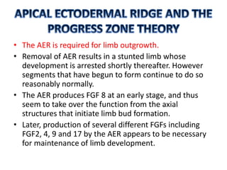 Congenital anomalies of upper limb | PPTX