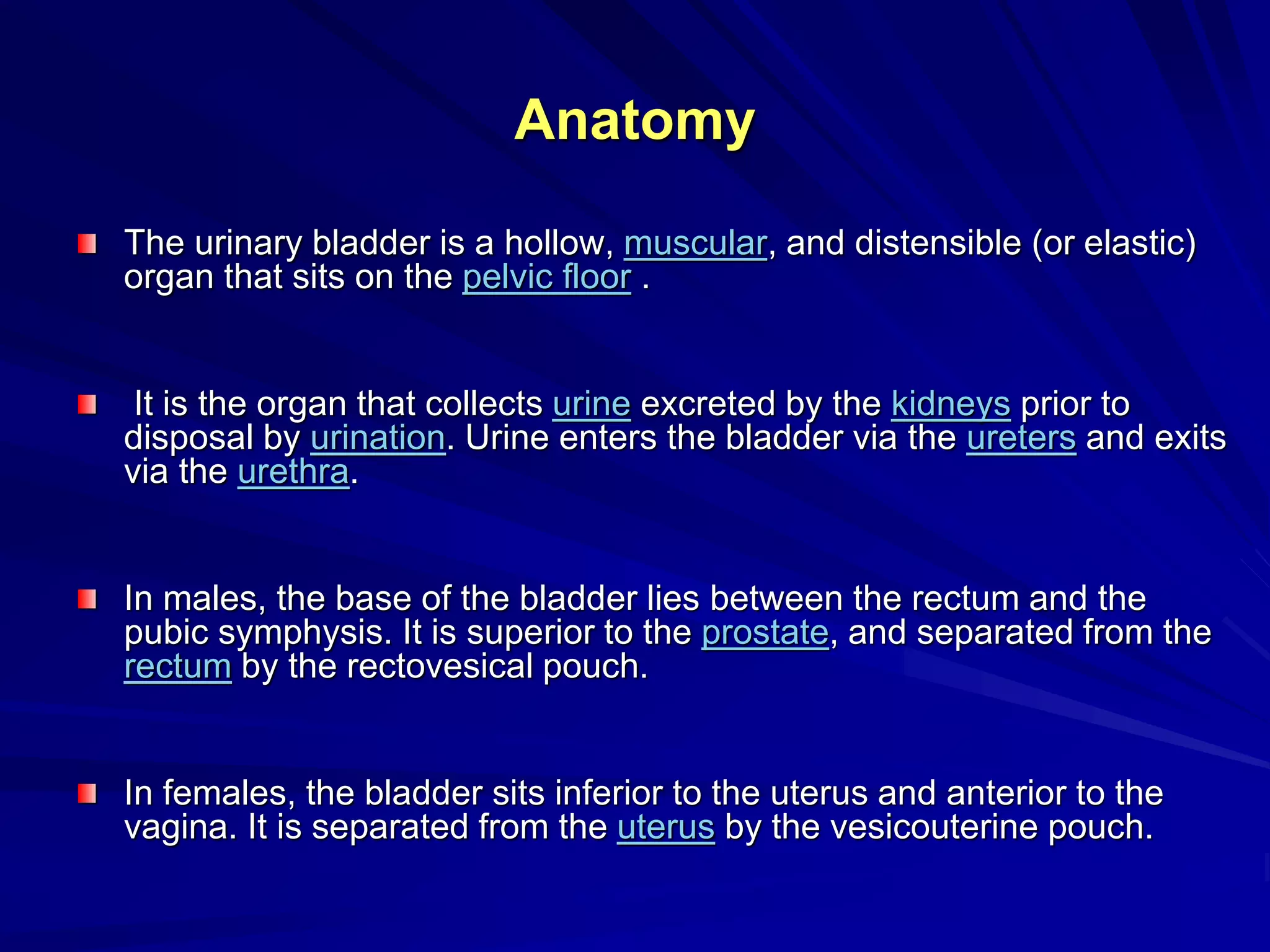 congenital_anomalies_of_urinary_bladder.ppt