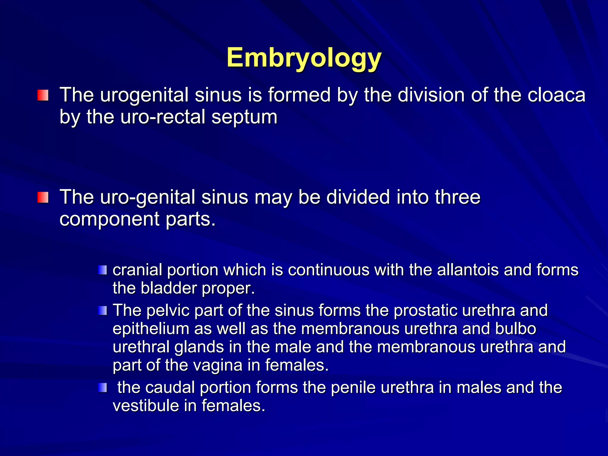 congenital_anomalies_of_urinary_bladder.ppt