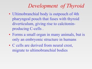 Congenital anomlies of thyroid.pptx