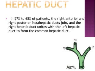 Congenital bile duct anomalies | PPTX