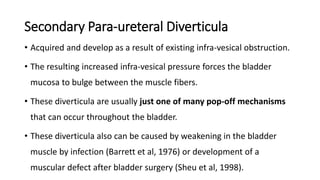Congenital bladder disorders | PPTX