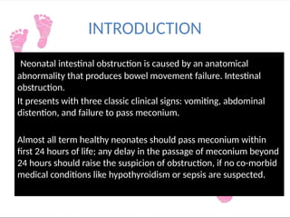 Comprehensive Overview of Neonatal Bowel Obstruction: Diagnosis and ...