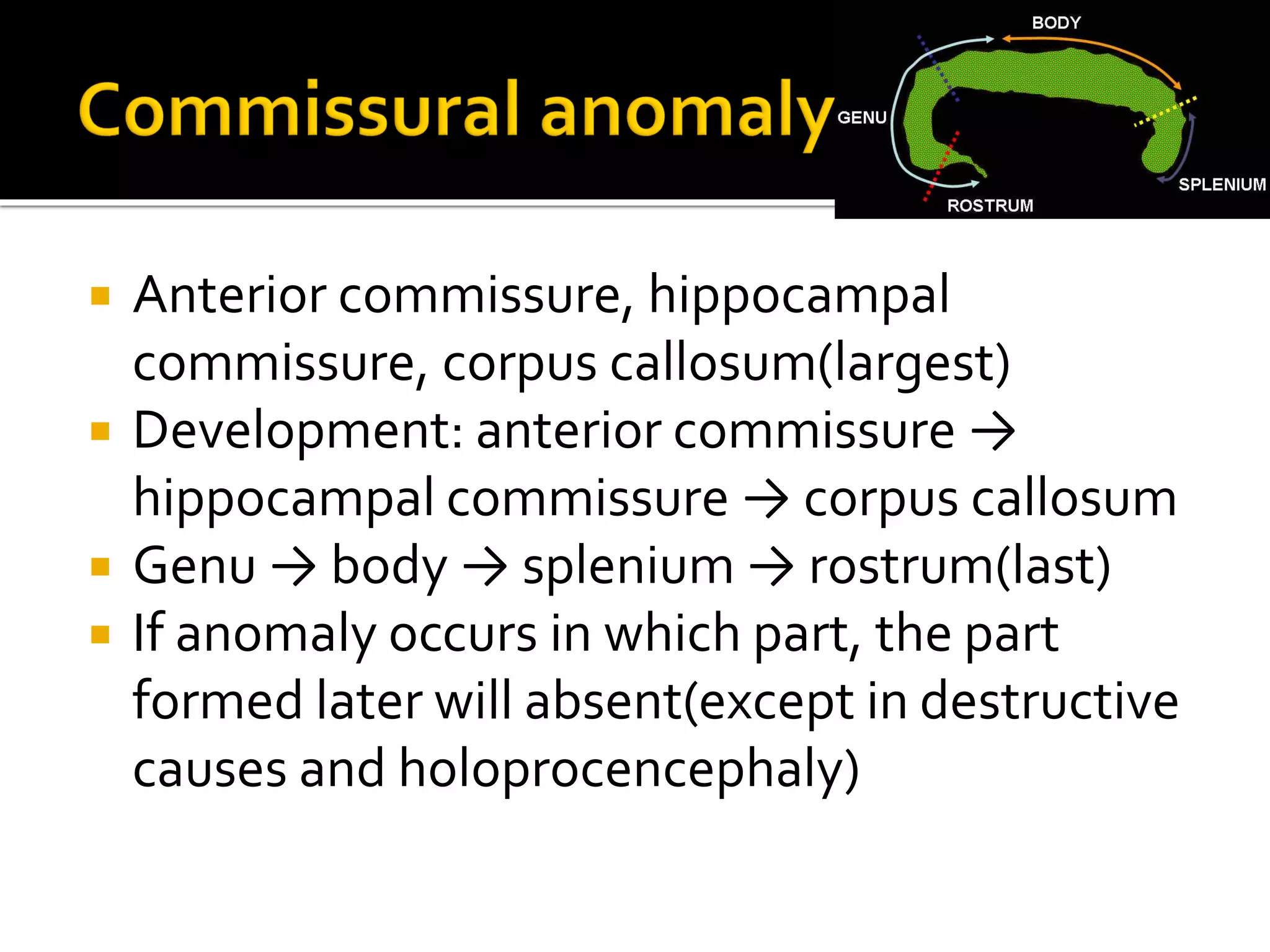 Congenital brain anomalies | PDF