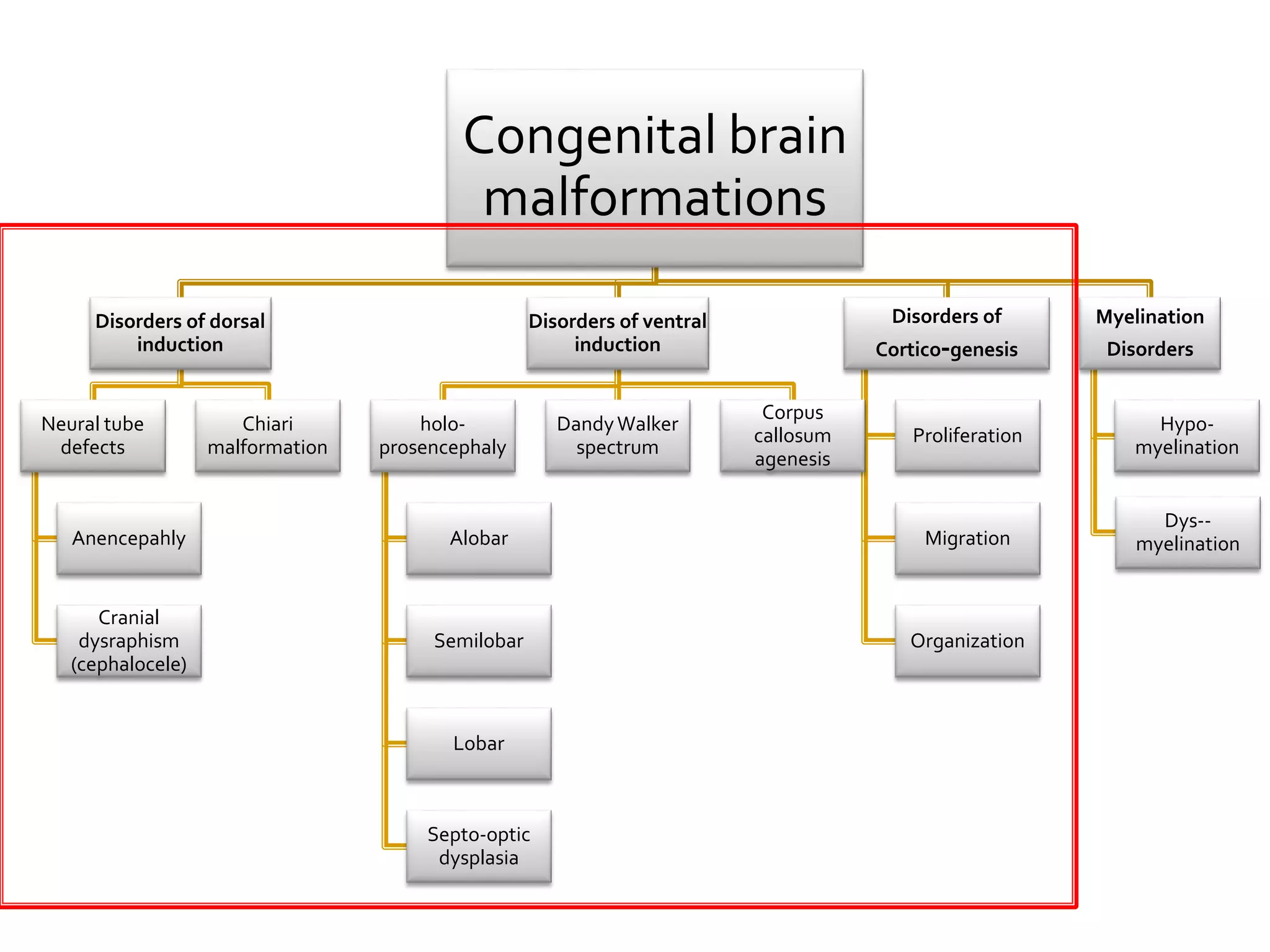 Congenital brain anomalies | PDF