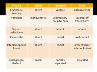 Congenital brain anomalies | PDF