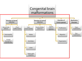 Congenital brain anomalies