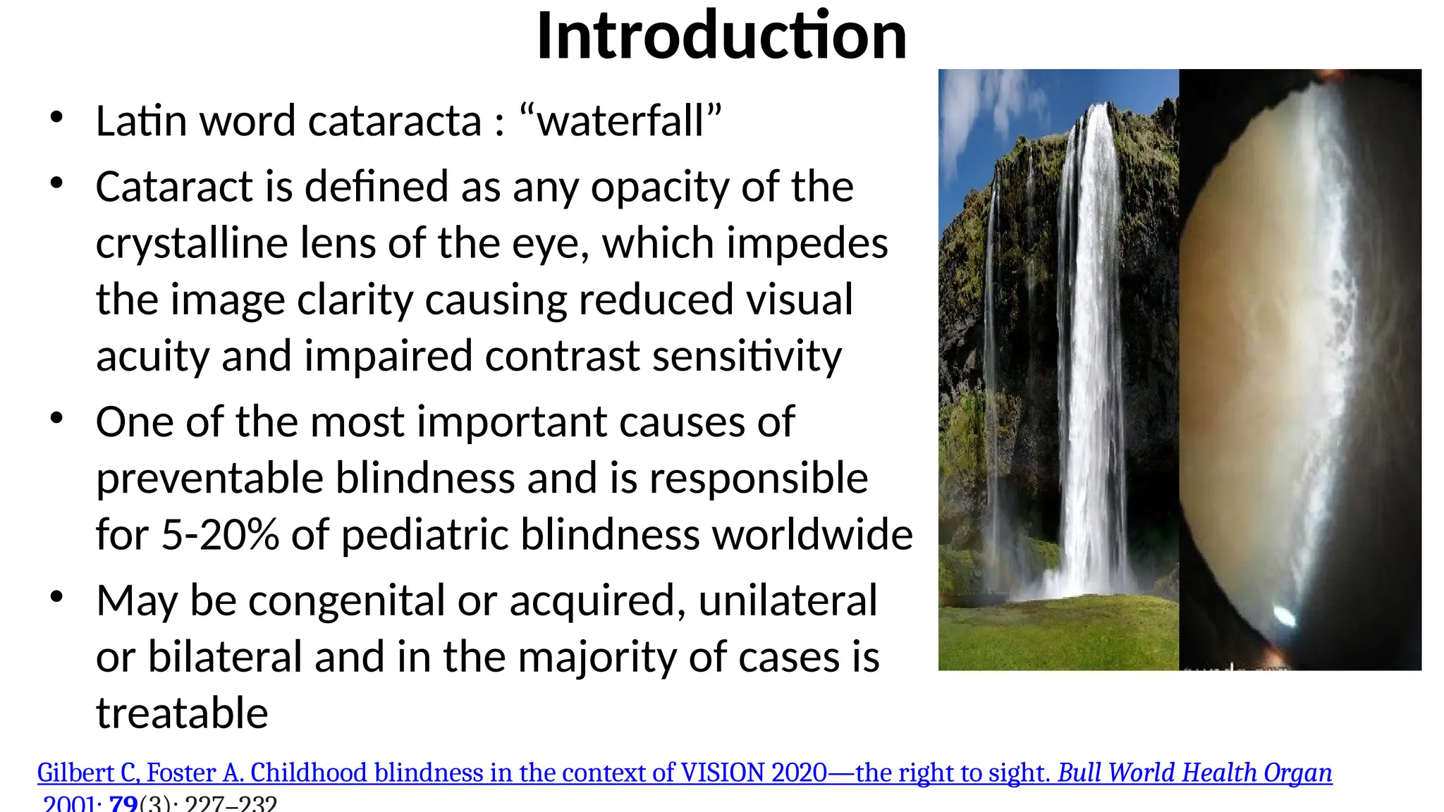 Congenital Cataract, Dr. Prabhat Devkota.pptx