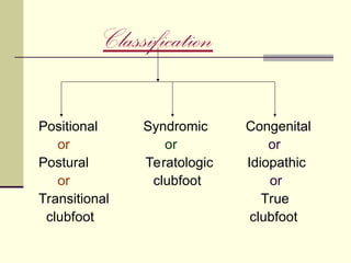 a brief explaination about congenital club foot.ppt