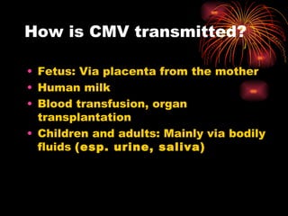 Congenital cmv infection | PPT