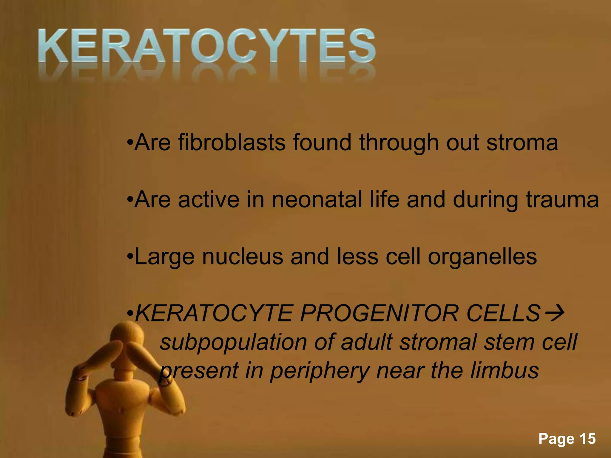 Congenital corneal disorders | PPTX