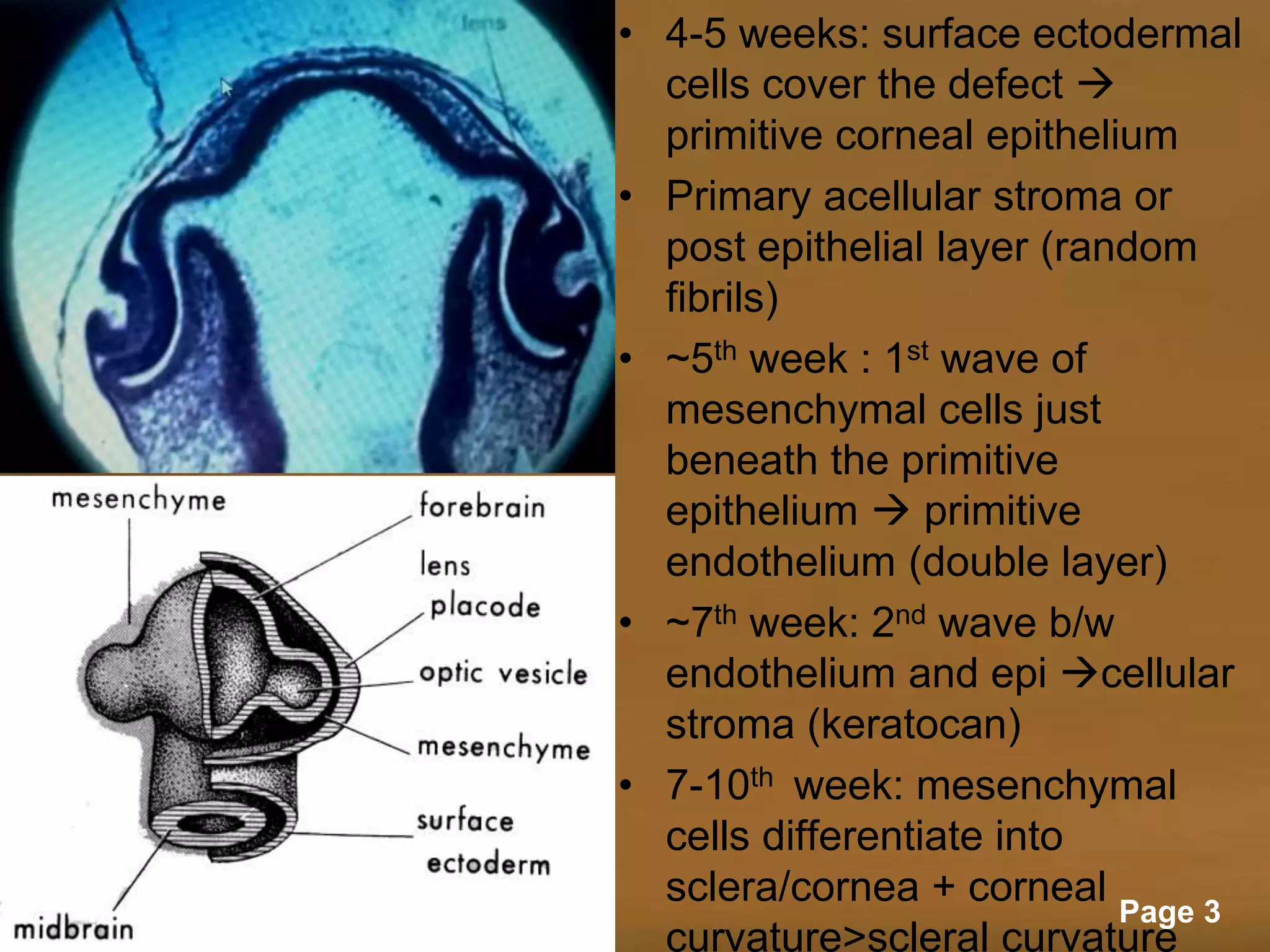 Congenital corneal disorders | PPTX