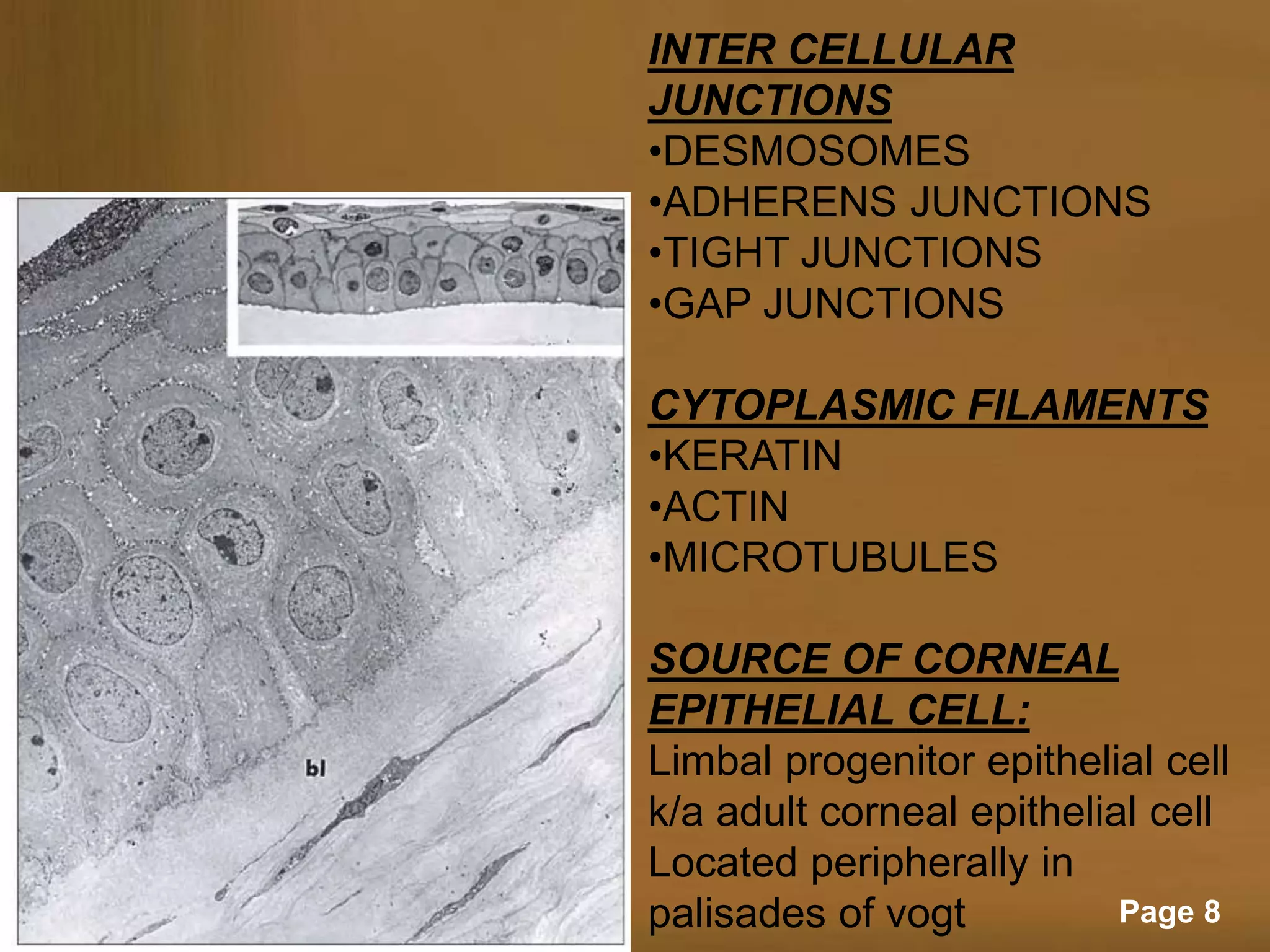 Congenital corneal disorders | PPTX