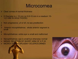 Microcornea