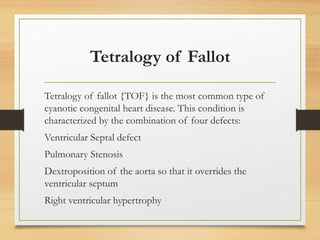 Congenital cyanotic heart diseases.lpptx | PPTX