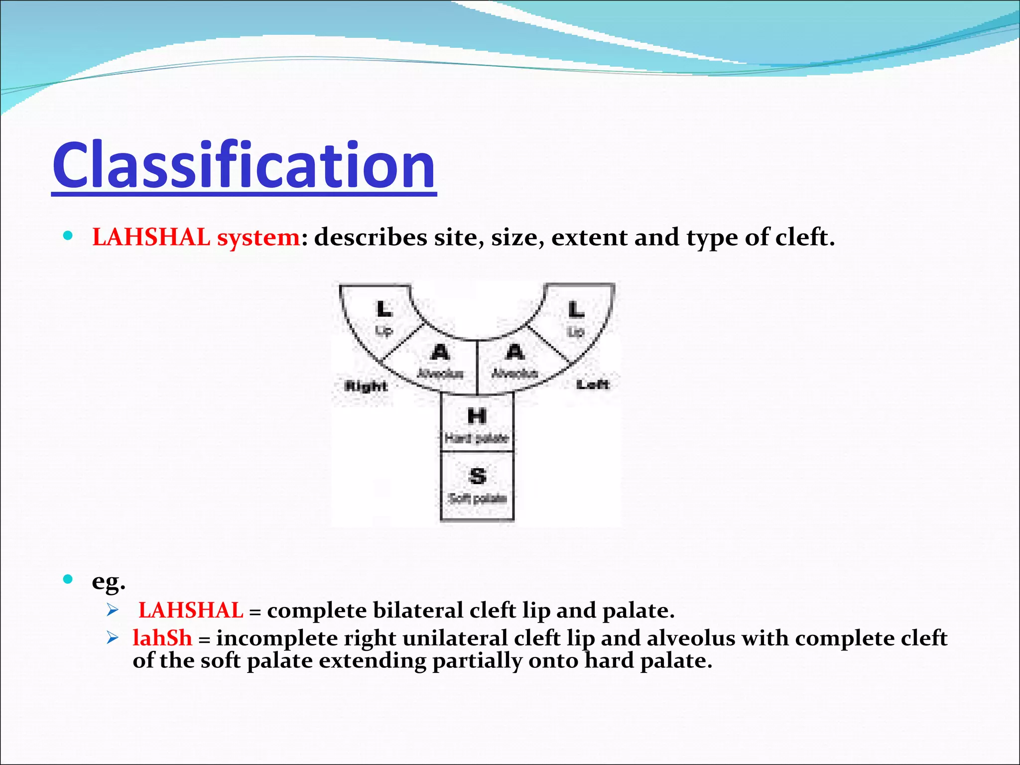 Congenital defects of the Face | PPT