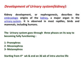 congenitaldevelopmentofurinarysystem-180127052149.ppt | Pregnancy ...