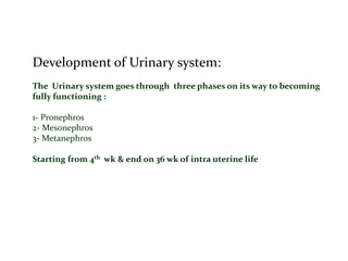 Congenital Development of Urinary System.ppt