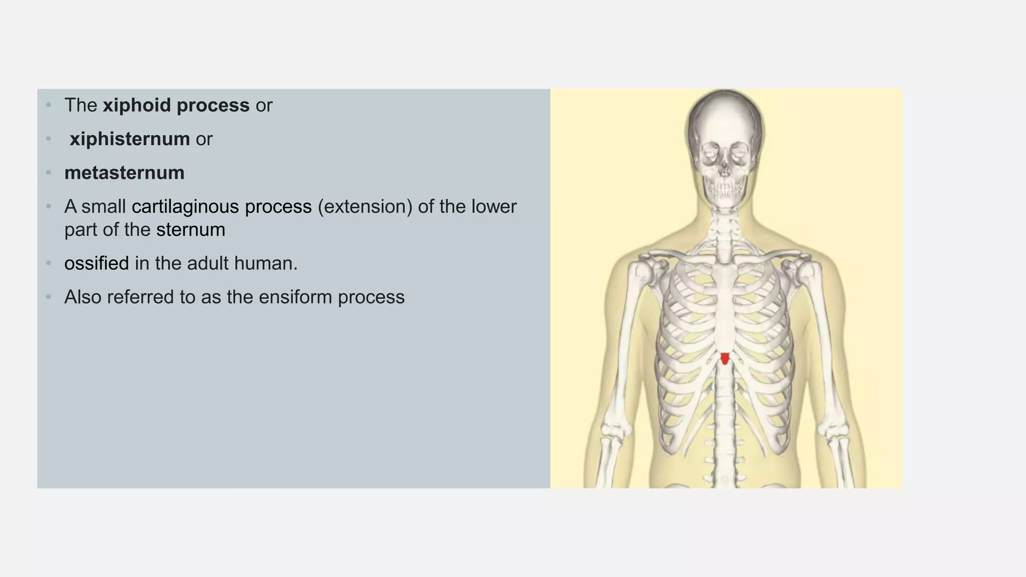 Congenital diaphragmatic hernia | PPTX