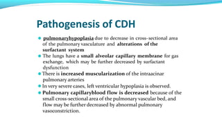 congenitaldiaphragmatichernia.pptx