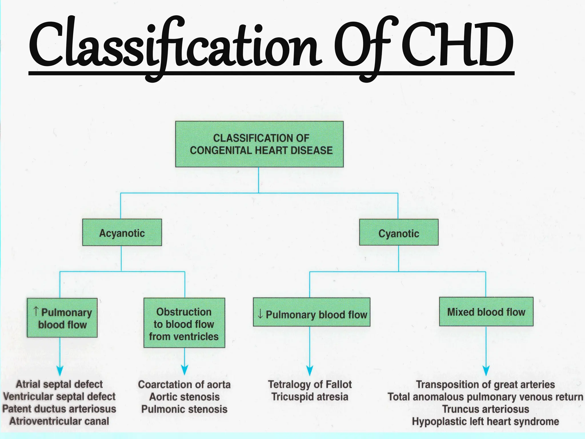 Congenital Diseases of the Heart in Children.pptx