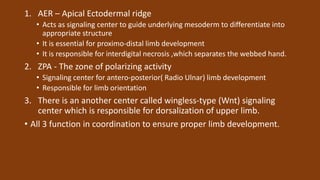 upper limb congenital anomalies | PPTX