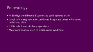 upper limb congenital anomalies | PPTX