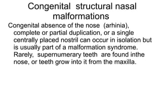 Congenital disorders of nose | PPT