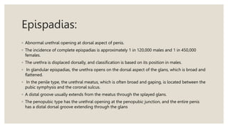CONGENITAL DISORDERS OF URINALY TRACTS.pptx