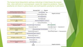 CONGENITAL ERYTHROPOETIC PORPHYRIA.pptx