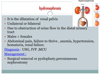 Congenital genito urinary disorders | PPTX