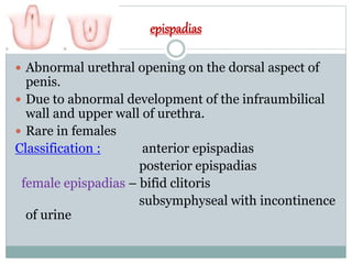Congenital genito urinary disorders | PPTX